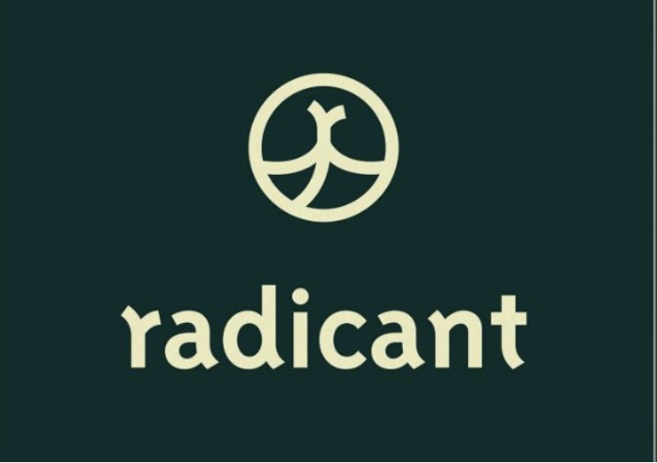 Testimonial Radicant: Growing with a banking scale-up